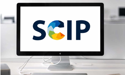 SVHC清单正式增至251项-赛德斯威